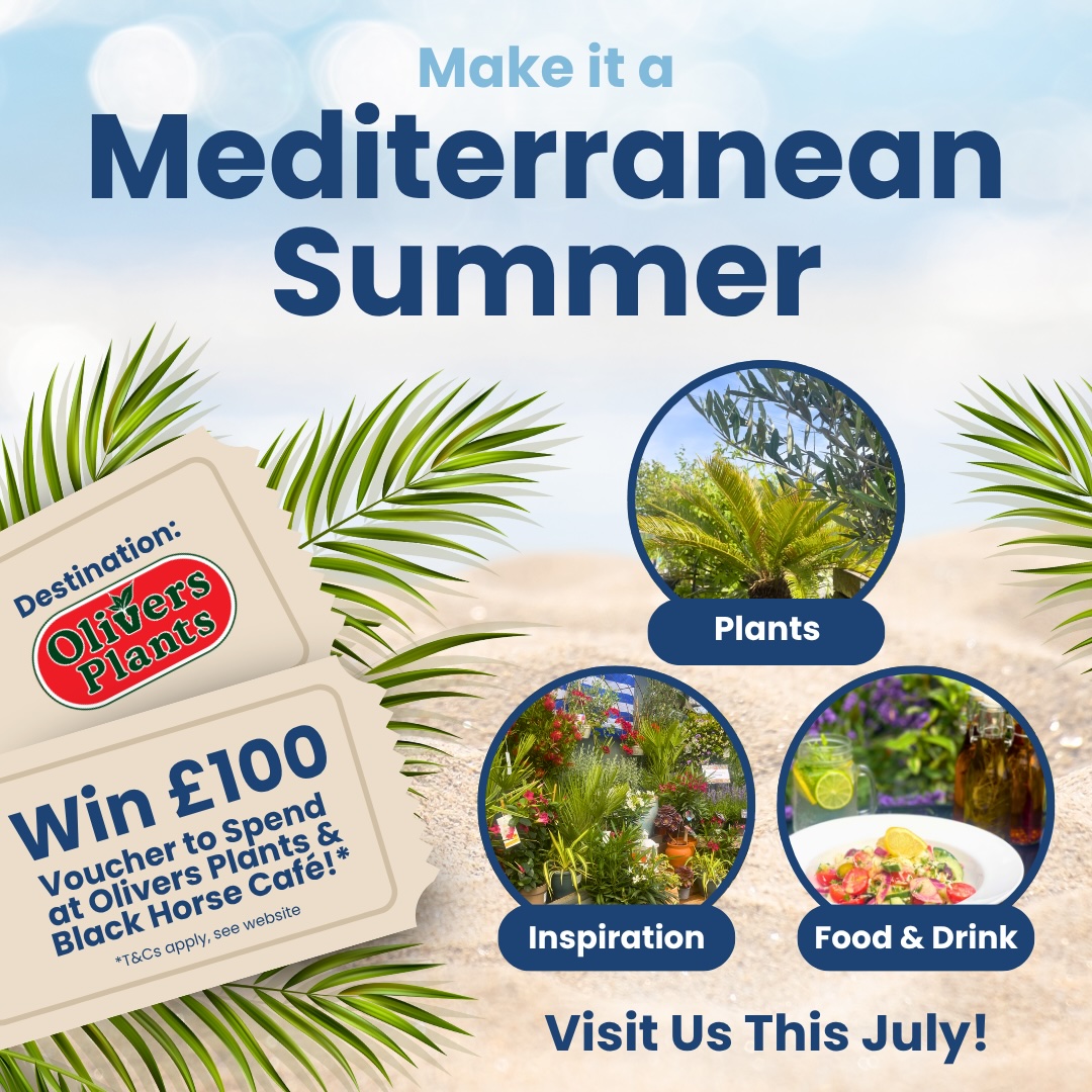 Make it a Mediterranean Summer - What's On - Love Coggeshall